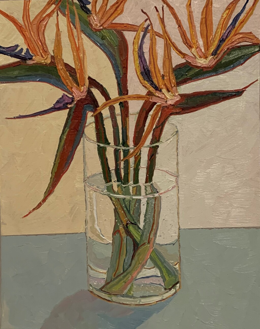 CHLOE TUPPER - Bird of Paradise - STALA CONTEMPORARY