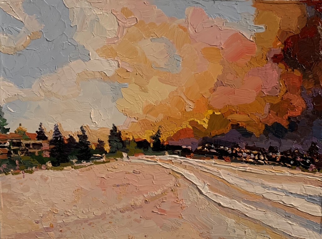 CHLOE TUPPER - After the Fire at Mollymook Beach NSW - STALA CONTEMPORARY