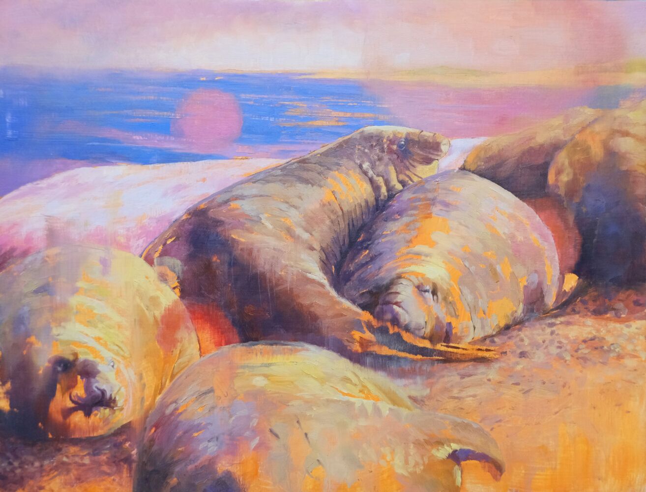 JARRAD MARTYN - Mirounga - STALA CONTEMPORARY